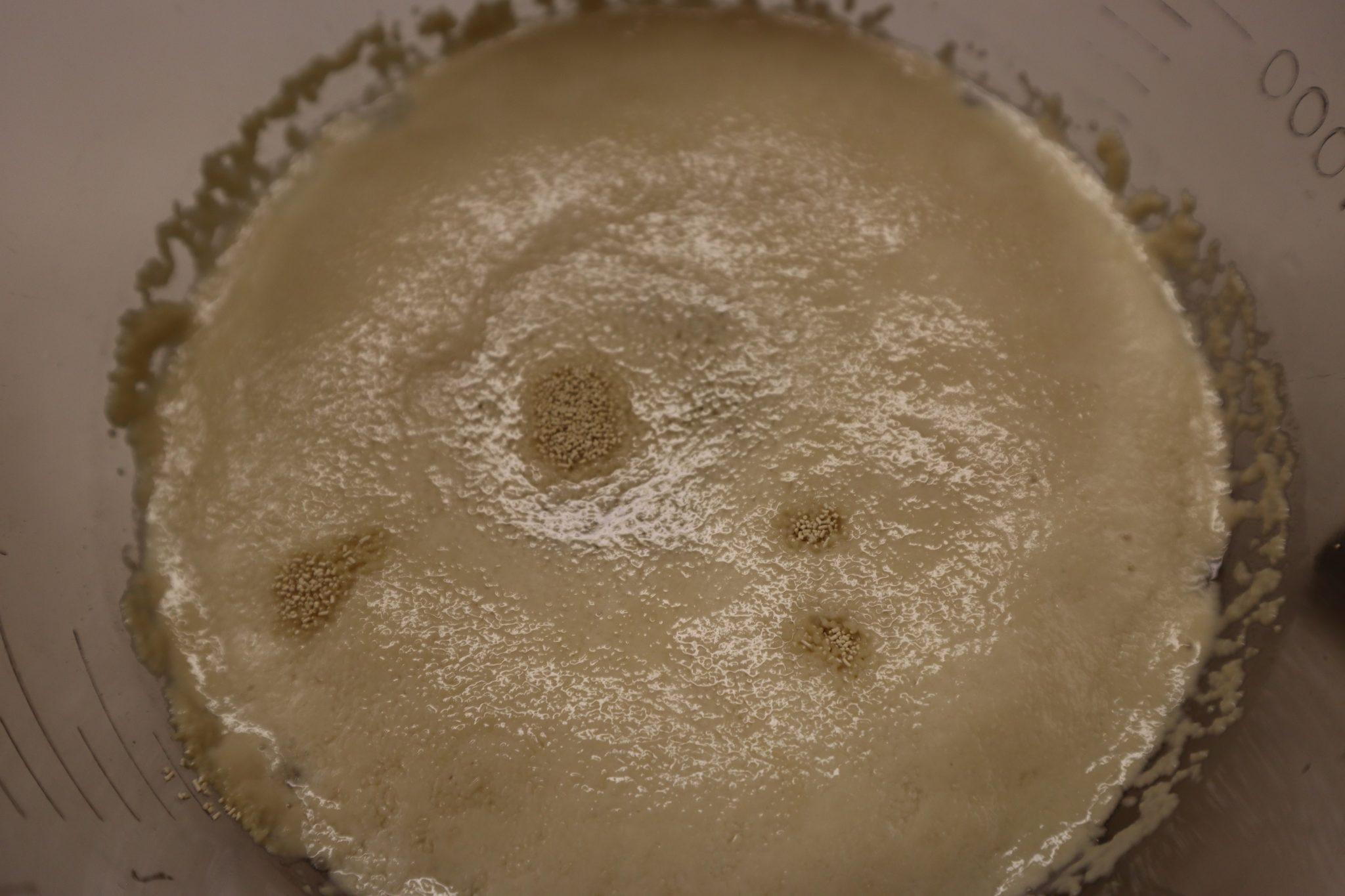 How to Make Bread - the Making Life